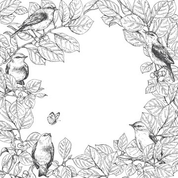 Coloring Book Border Images – Browse 122,114 Stock Photos, Vectors, and ...