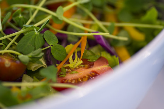 รูปภาพCruton – เลือกดูภาพถ่ายสต็อก เวกเตอร์ และวิดีโอ86,621 | Adobe Stock