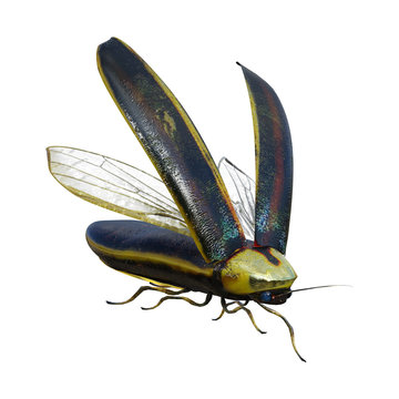 Firefly White Background Images – Browse 3,006 Stock Photos, Vectors ...