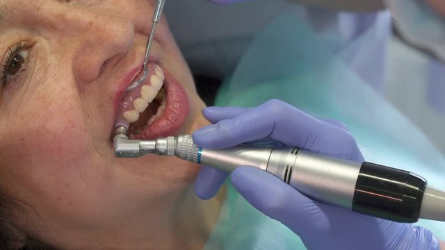 รูปภาพProphy – เลือกดูภาพถ่ายสต็อก เวกเตอร์ และวิดีโอ527 | Adobe Stock