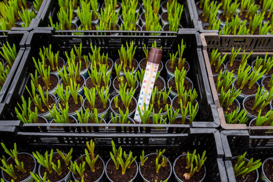 Uprawa Images – Browse 12,208 Stock Photos, Vectors, and Video | Adobe ...