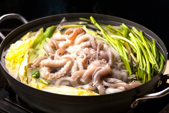 "Octopus Soup" Bilder – Durchsuchen 139 Archivfotos, Vektorgrafiken und ...