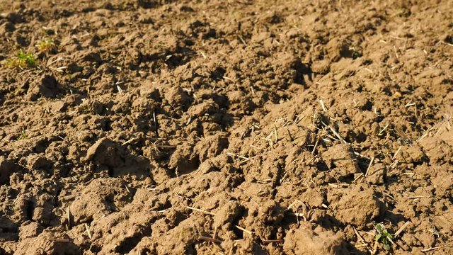 "Lump Of Clay" Images – Browse 293 Stock Photos, Vectors, and Video ...