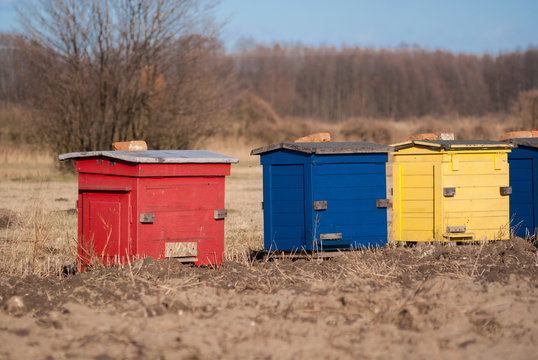 Imágenes de Ule: descubre bancos de fotos, ilustraciones, vectores y ...