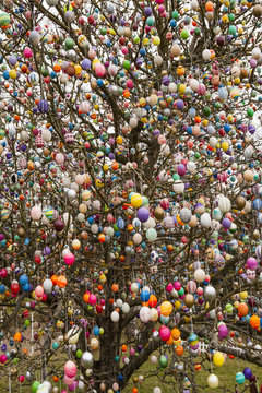 รูปภาพOstereierbaum – เลือกดูภาพถ่ายสต็อก เวกเตอร์ และวิดีโอ149 | Adobe ...