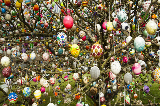 รูปภาพOstereierbaum – เลือกดูภาพถ่ายสต็อก เวกเตอร์ และวิดีโอ149 | Adobe ...