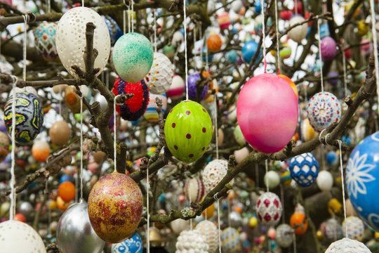 รูปภาพOstereierbaum – เลือกดูภาพถ่ายสต็อก เวกเตอร์ และวิดีโอ149 | Adobe ...