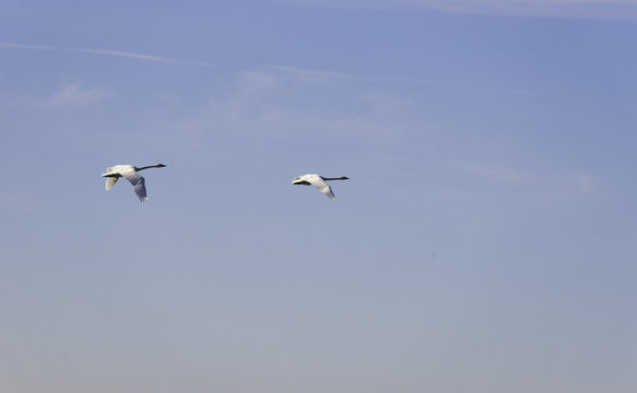 Rachel Lerch photos, images, assets | Adobe Stock