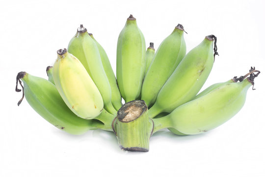 Fraught Images – Browse 413 Stock Photos, Vectors, and Video | Adobe Stock