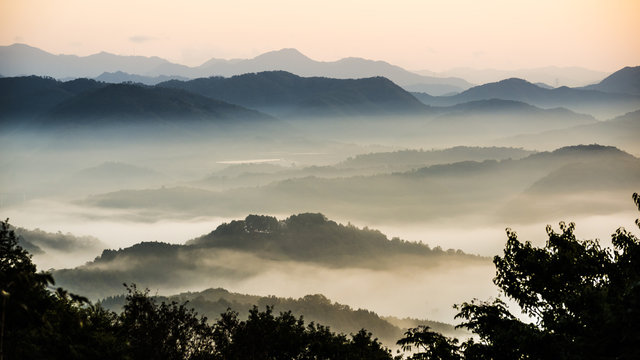 「Sayo」の画像 - 438 件の Stock 写真、ベクターおよびビデオ | Adobe Stock