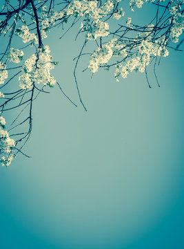 Blue Funeral Background Images – Browse 6,868 Stock Photos, Vectors ...