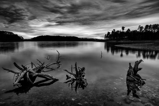 5D2 Images – Browse 37 Stock Photos, Vectors, and Video | Adobe Stock