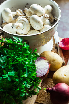 Imágenes de Palear: descubre bancos de fotos, ilustraciones, vectores y ...