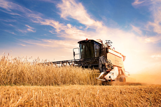 Ernte bilder – Bläddra bland 184,458 stockfoton, vektorer och videor ...