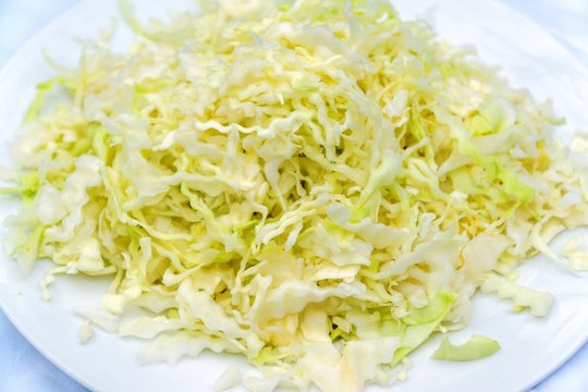 รูปภาพShreded – เลือกดูภาพถ่ายสต็อก เวกเตอร์ และวิดีโอ530,392 | Adobe Stock