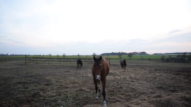 Bootlicker Images – Browse 37 Stock Photos, Vectors, and Video | Adobe ...