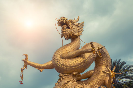 รูปภาพGragon – เลือกดูภาพถ่ายสต็อก เวกเตอร์ และวิดีโอ402 | Adobe Stock