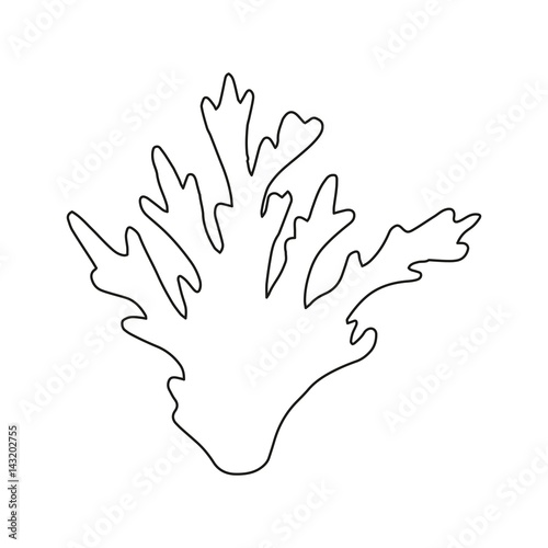 Coral Vector Tracing