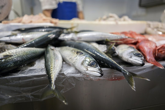 Pijotas Images – Browse 49 Stock Photos, Vectors, and Video | Adobe Stock