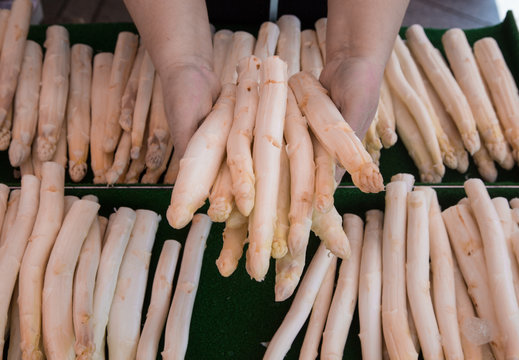 Imágenes de Spargelsaison: descubre bancos de fotos, ilustraciones ...