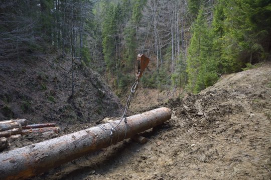 Clearfelling Bilder – Durchsuchen 5,569 Archivfotos, Vektorgrafiken und ...