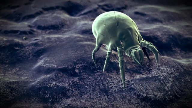 Dust Mite"」の写真素材 | 2,362件の無料イラスト画像 | Adobe Stock