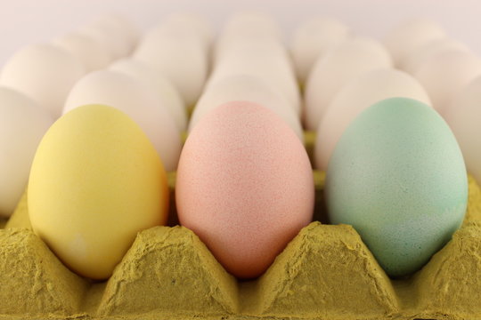 Lought Images – Browse 38 Stock Photos, Vectors, and Video | Adobe Stock