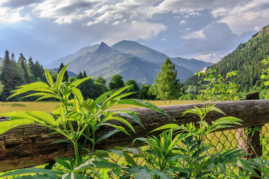 รูปภาพZakan – เลือกดูภาพถ่ายสต็อก เวกเตอร์ และวิดีโอ135 | Adobe Stock