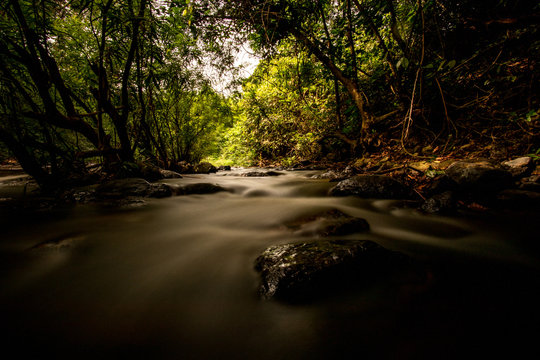 รูปภาพAmezing – เลือกดูภาพถ่ายสต็อก เวกเตอร์ และวิดีโอ423 | Adobe Stock