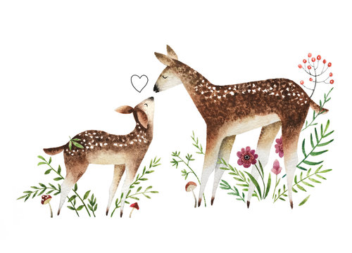 Hirschholunder Bilder – Durchsuchen 32 Archivfotos, Vektorgrafiken und ...