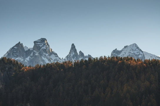 31 BEST Sciore IMAGES, STOCK PHOTOS & VECTORS | Adobe Stock