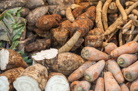 Tuberculos Images – Browse 96 Stock Photos, Vectors, and Video | Adobe ...