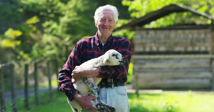 New Zealand Farmer Images – Browse 2,458 Stock Photos, Vectors, and ...