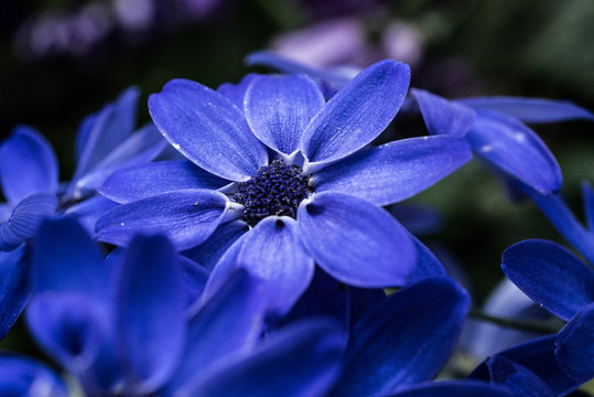 รูปภาพColor.clour – เลือกดูภาพถ่ายสต็อก เวกเตอร์ และวิดีโอ409 | Adobe Stock