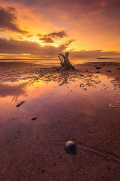 "Wellington Point" Images – Browse 180 Stock Photos, Vectors, and Video ...