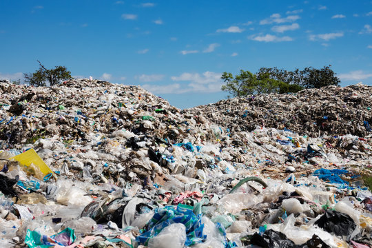 รูปภาพMistplatz – เลือกดูภาพถ่ายสต็อก เวกเตอร์ และวิดีโอ93 | Adobe Stock