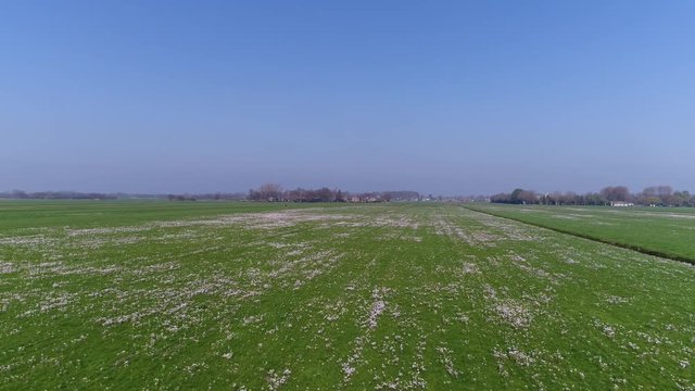 Interspersion Stock Videos – 4 HD & 4K Footage Clips | Adobe Stock