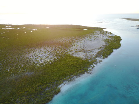 "Tropical Life" Images – Browse 564 Stock Photos, Vectors, and Video ...