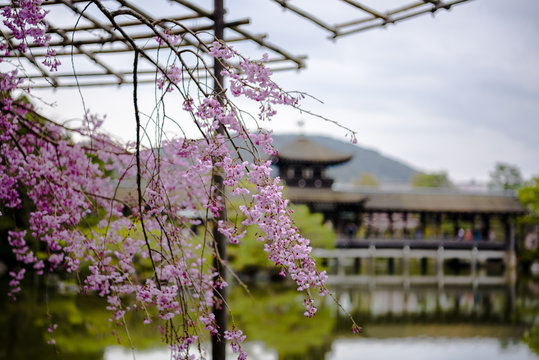 รูปภาพHeyan – เลือกดูภาพถ่ายสต็อก เวกเตอร์ และวิดีโอ88 | Adobe Stock