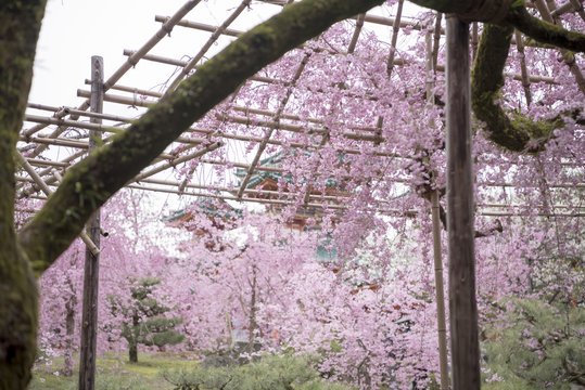 รูปภาพHeyan – เลือกดูภาพถ่ายสต็อก เวกเตอร์ และวิดีโอ88 | Adobe Stock