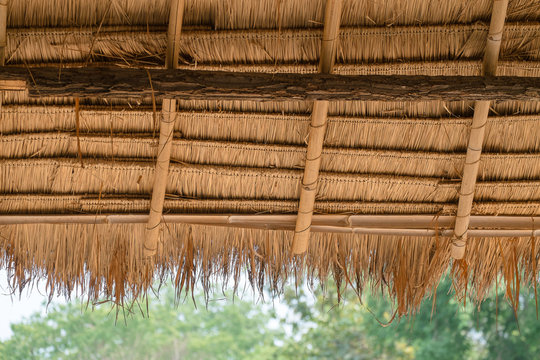 Inside Thatched Roof Images – Browse 752 Stock Photos, Vectors, and ...