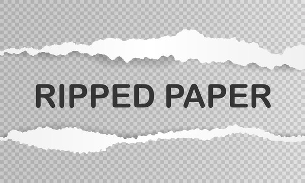 "Torn Paper Edge" Billeder – Gennemse 438 stockfotos, vektorer og ...