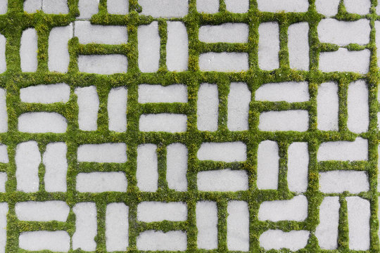 Grass Pavement Texture