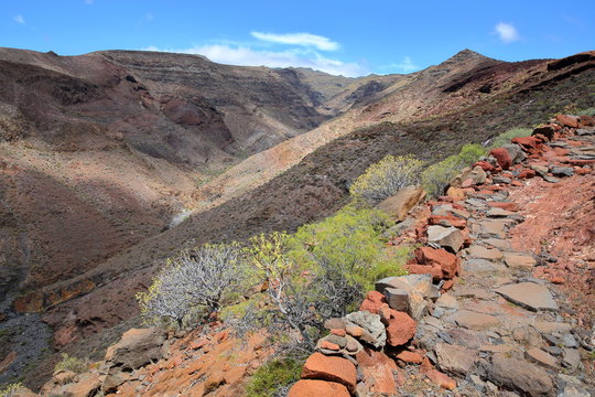 Sendera Images – Browse 9 Stock Photos, Vectors, and Video | Adobe Stock