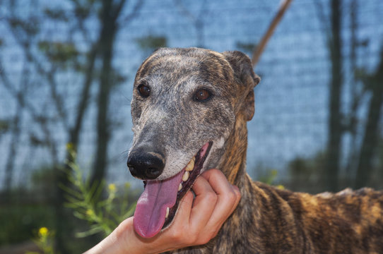 "Plano Cerrado" Bilder – Durchsuchen 165 Archivfotos, Vektorgrafiken ...