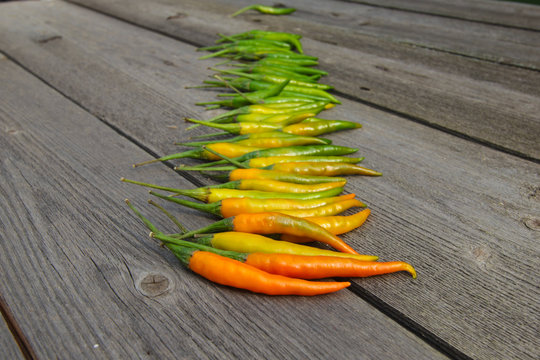 Vehemently Images – Browse 259 Stock Photos, Vectors, and Video | Adobe ...