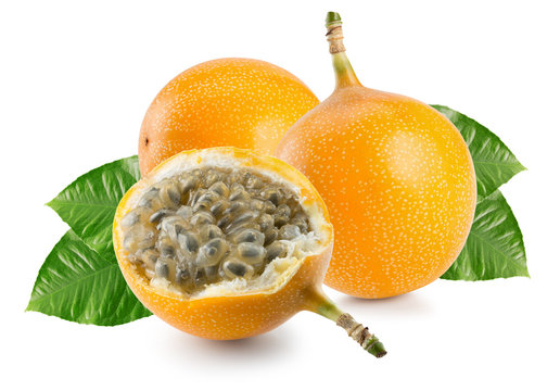 Barbadine Images – Parcourir 326 le catalogue de photos, vecteurs et ...