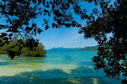 「Suwan」の写真素材 | 532件の無料イラスト画像 | Adobe Stock