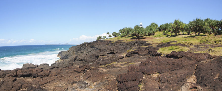 Pandanas Images – Browse 58 Stock Photos, Vectors, and Video | Adobe Stock