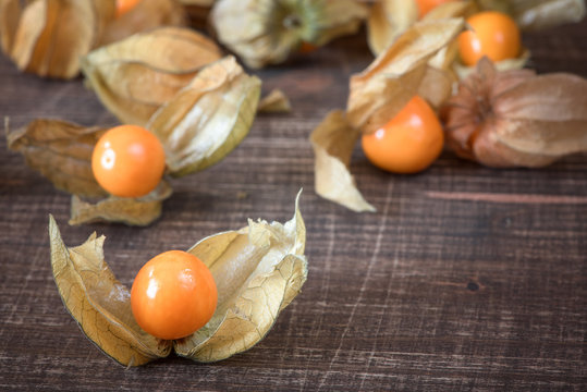 「Judenkirsche」の写真素材 | 380件の無料イラスト画像 | Adobe Stock